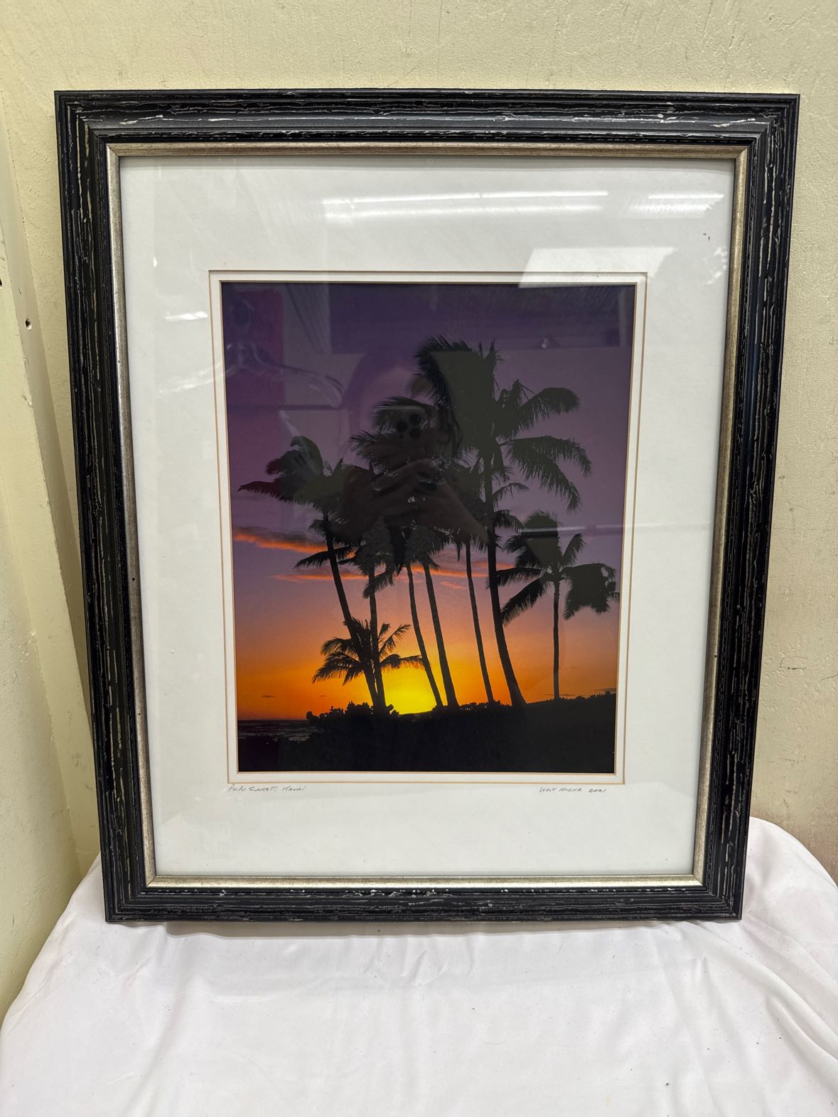 Walter Mucha Photography 2001 Kauai Framed Art – Off The Rack